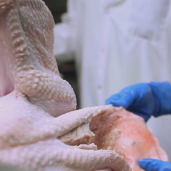 Lawmakers Push Two Food Safety Bills After FRONTLINE Investigation ...