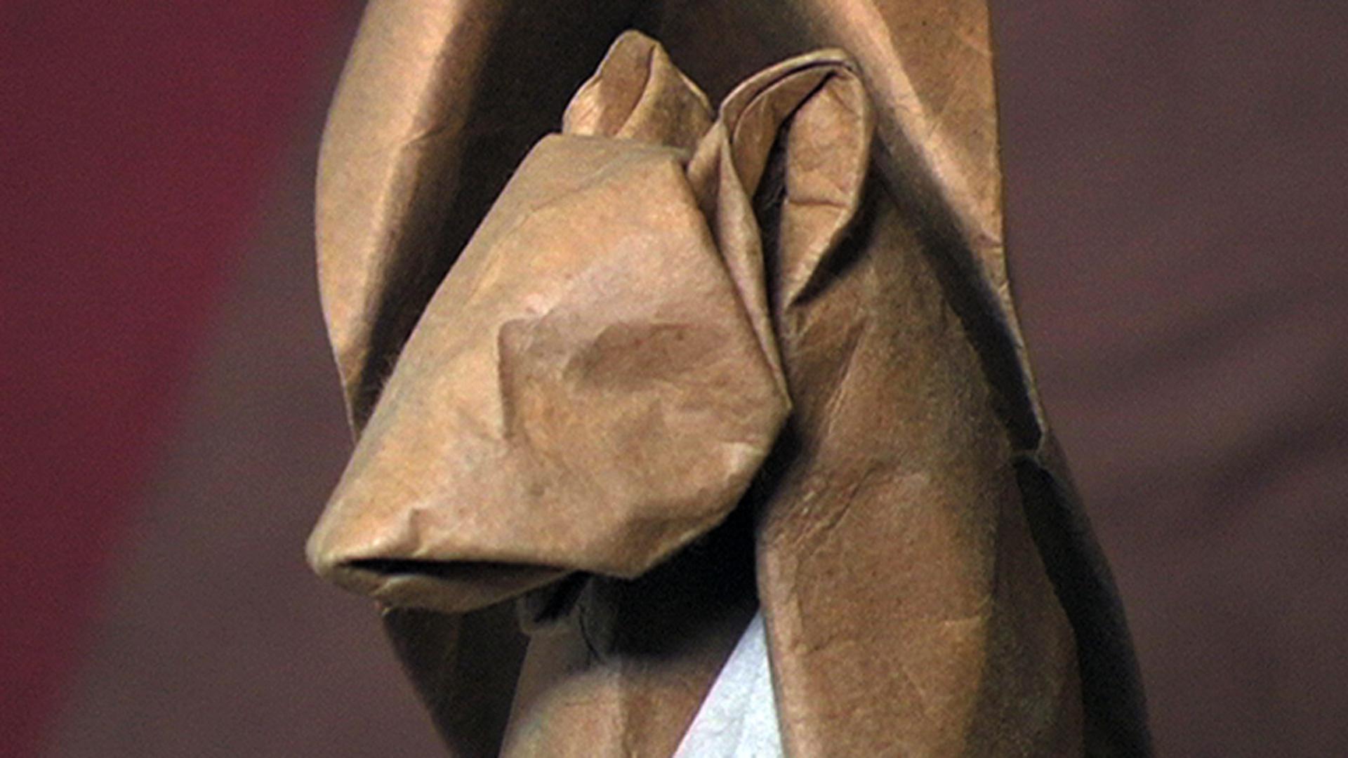 Between the Folds | Origami Art | Independent Lens | PBS