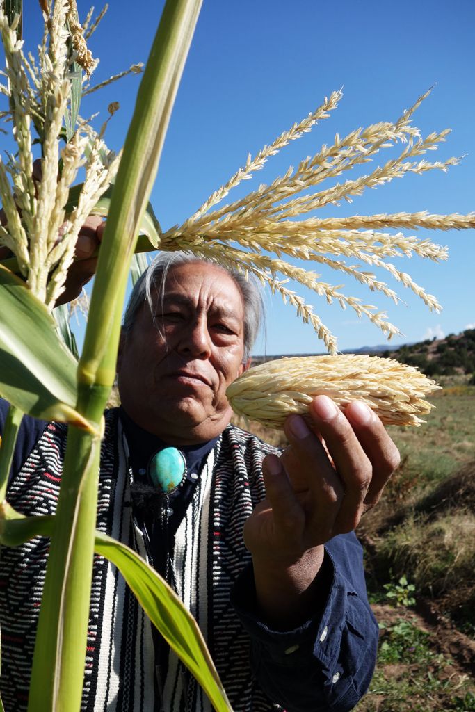 The Roots of Seed Documentary | PBS | Independent Lens