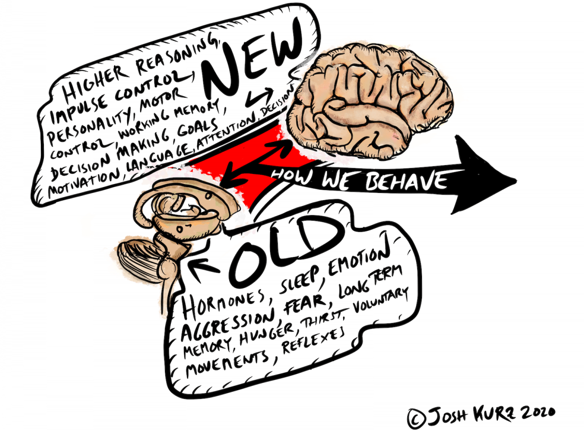 The Science of Kindness: It’s Not Easy Being Nice | PBS