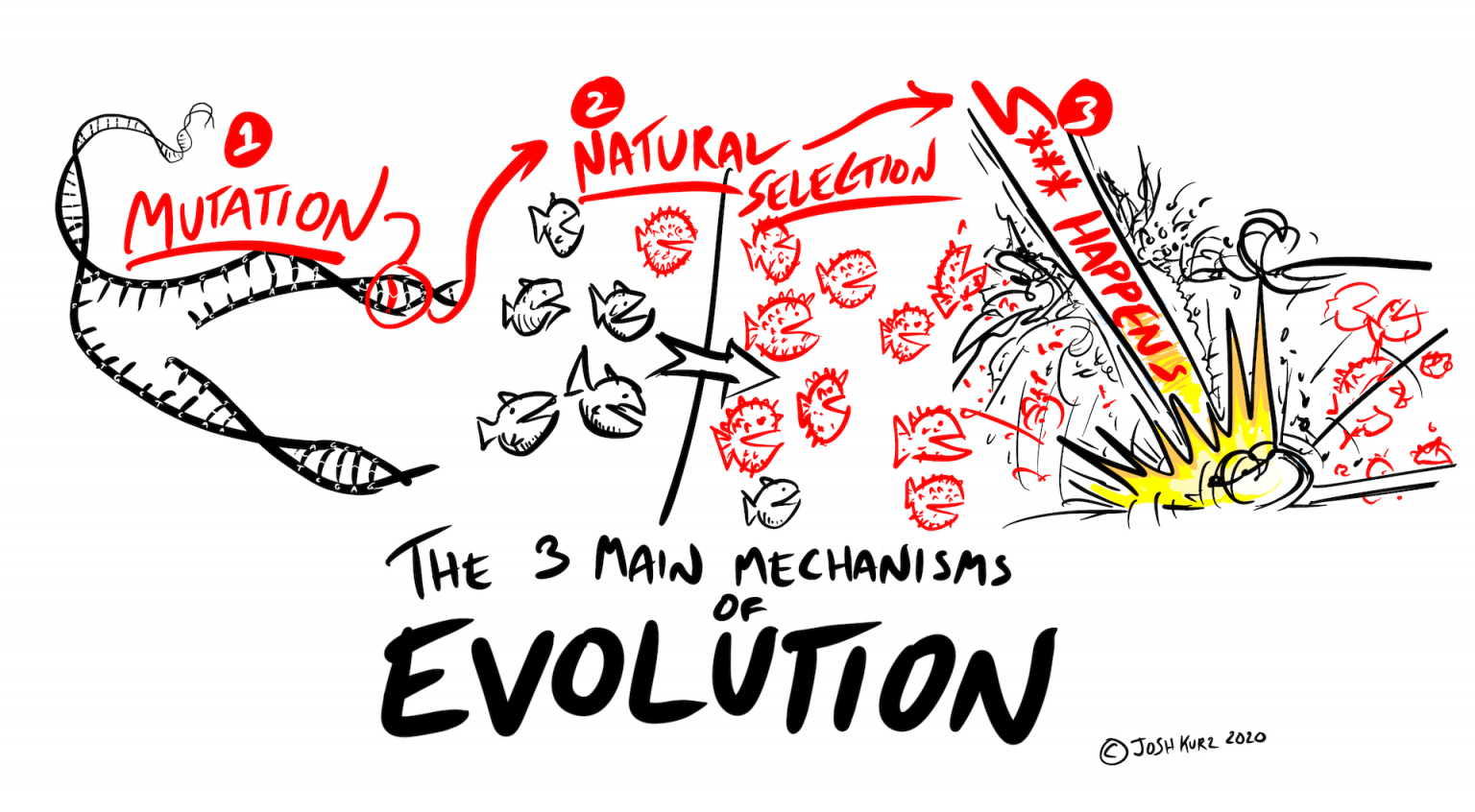 The Science of Kindness: It’s Not Easy Being Nice | PBS
