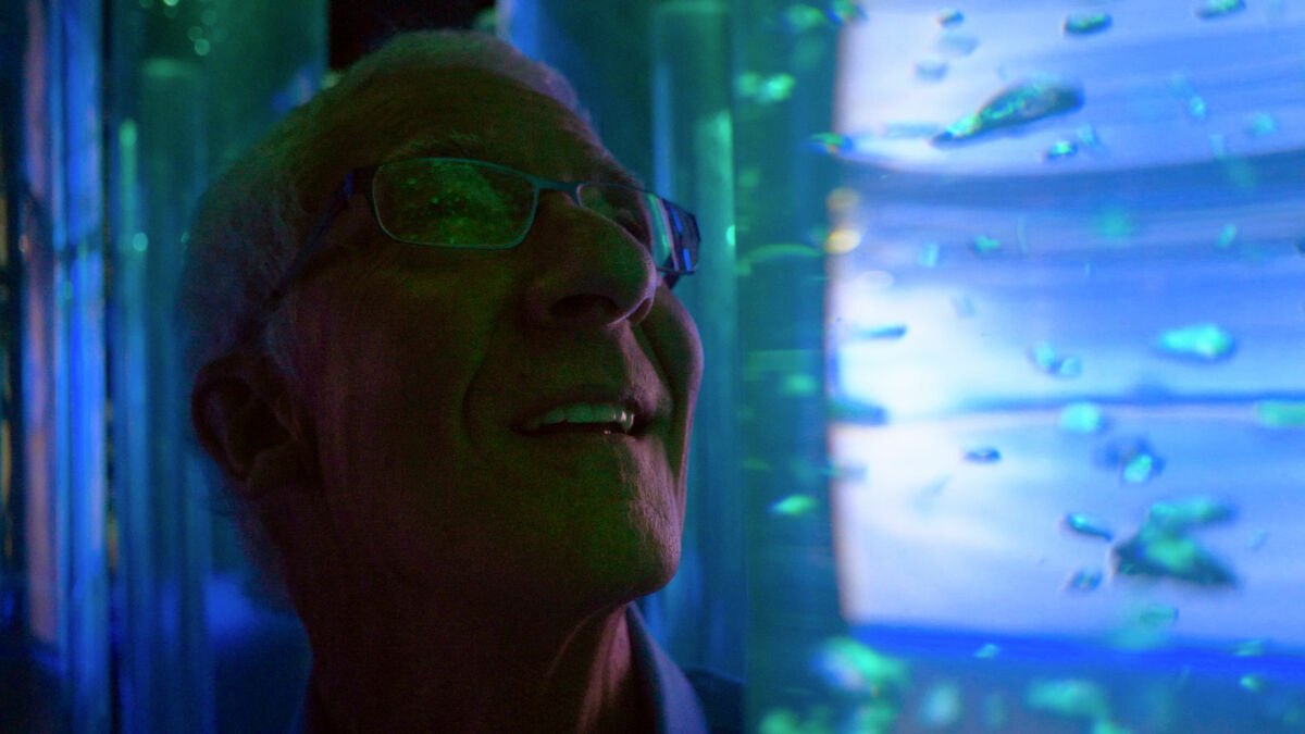 Investigating the Mysteries of Consciousness | Independent Lens