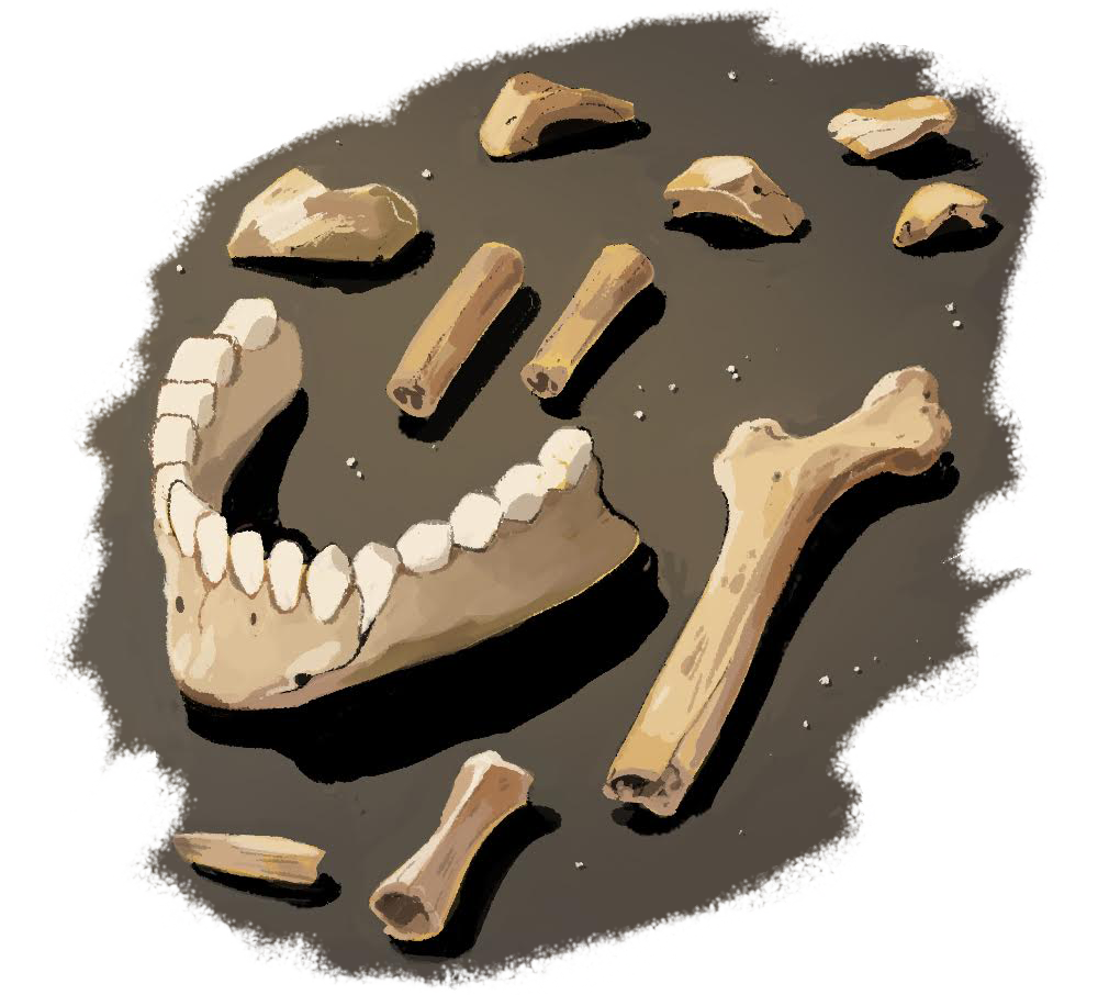 Journey to Pluto | PBS NewsHour