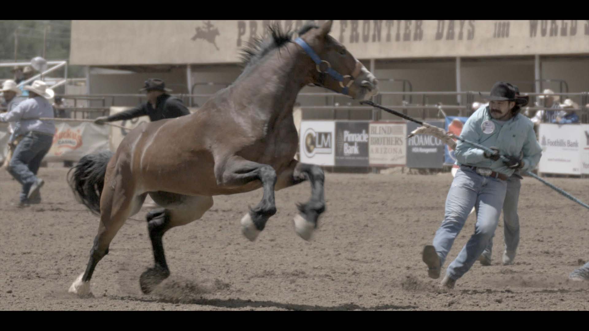 Episode 4: The Cowboy - Iconic America