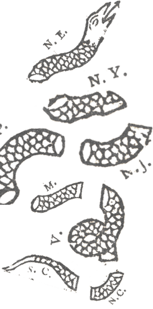 Gadsden Flag - Iconic America