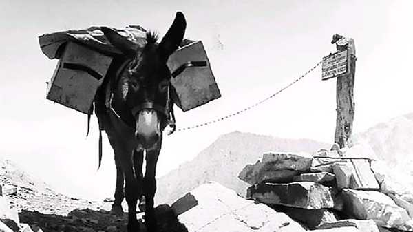 Watch Ansel Adams | American Experience | Official Site | PBS