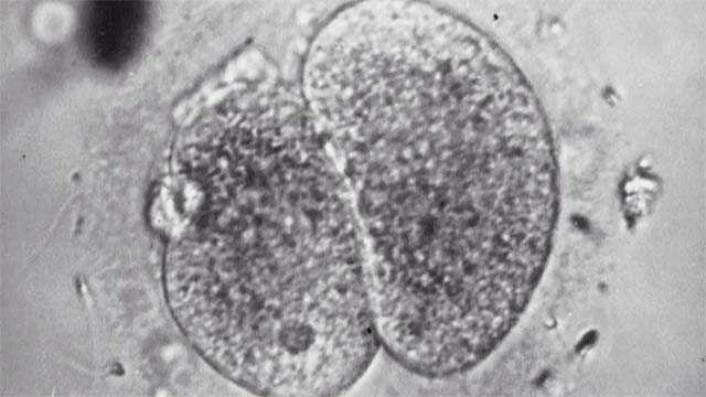 Test Tube Babies: Chapter 1 | American Experience | Official Site | PBS