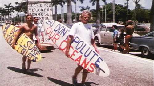 The Modern Environmental Movement | American Experience | Official Site ...