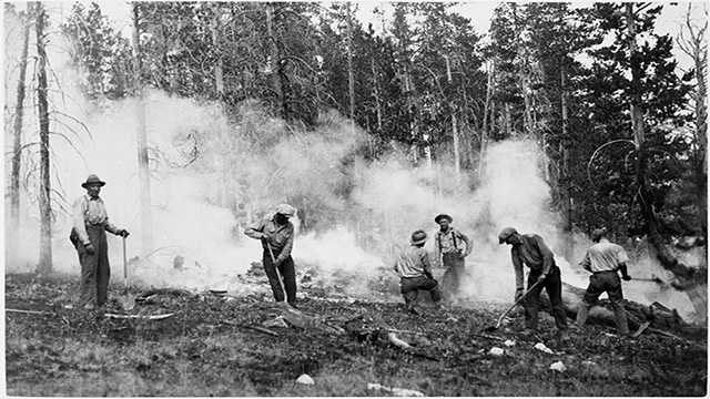 firefighter fighting forest fire