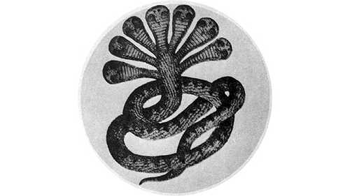 Myrna Opsahl | American Experience | Official Site | PBS