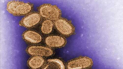 Watch Influenza 1918 | American Experience | Official Site | PBS