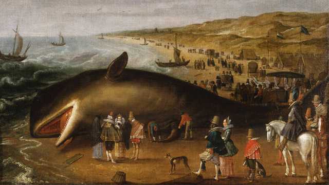 Whaling in America | American Experience | Official Site | PBS