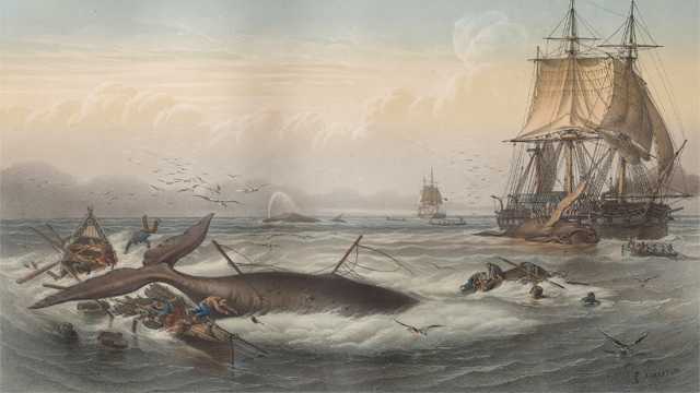 The History of Whaling in America | American Experience | Official Site ...