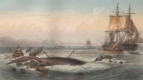 Watch Into the Deep: America, Whaling & the World | American Experience ...