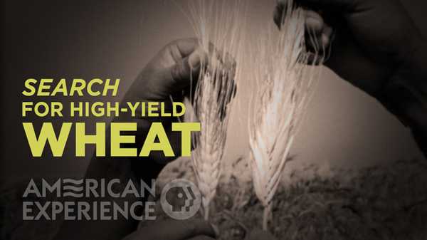 Watch The Man Who Tried To Feed The World | American Experience ...