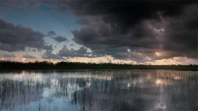 The Swamp: Trailer | American Experience | Official Site | PBS