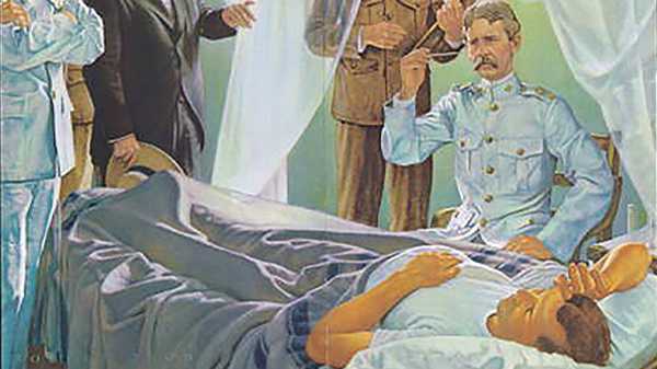 Yellow Fever in the 20th Century and Today | American Experience ...