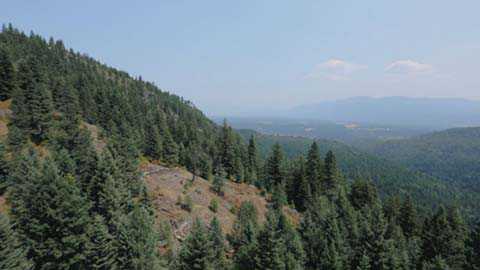Watch Ruby Ridge | American Experience | Official Site | PBS