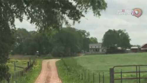 Watch The Amish: Shunned | American Experience | Official Site | PBS