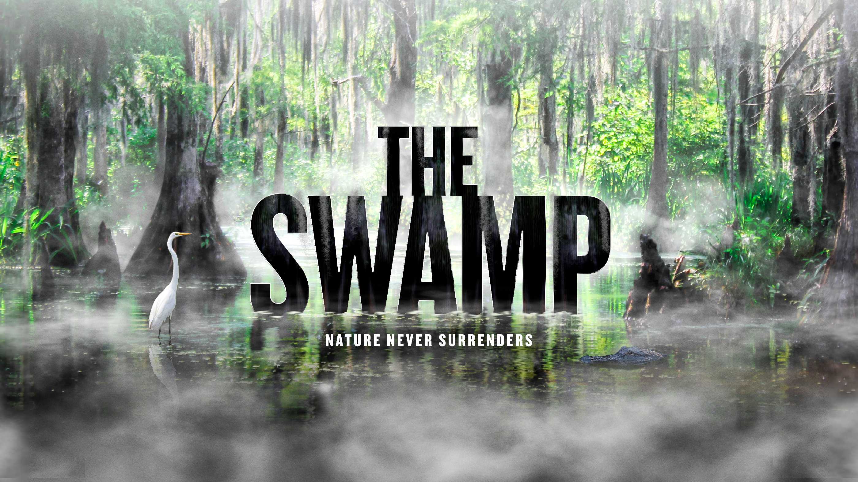 Watch The Swamp | American Experience | Official Site | PBS