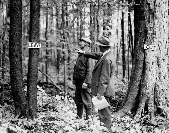 The Faces of the Big Burn | American Experience | Official Site | PBS