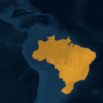 Pandemic Perspectives: COVID Stories from Around the World | FRONTLINE ...