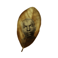 James Chaney | Un(re)solved | FRONTLINE | PBS| Web Interactive