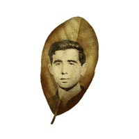 Andrew Goodman | Un(re)solved | FRONTLINE | PBS| Web Interactive