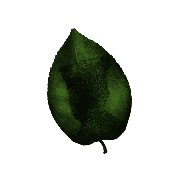 Un(re)solved | FRONTLINE | PBS | Web Interactive