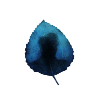 308 Permanent Redirect