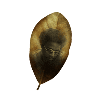 301 Moved Permanently