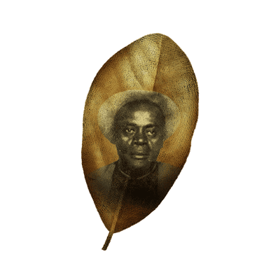 Lamar Smith | Un(re)solved | FRONTLINE | PBS| Web Interactive