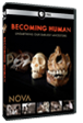 NOVA - Official Website | Becoming Human: Series Overview