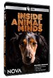 NOVA - Official Website | Inside Animal Minds