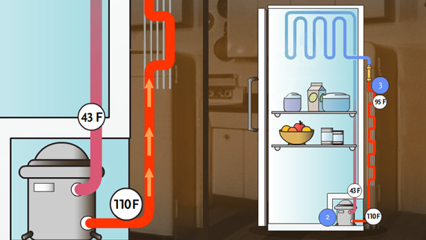 NOVA - Official Website | Anatomy of a Refrigerator
