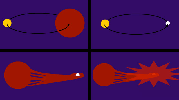 NOVA - Official Website | Birth of a Supernova: Type Ia