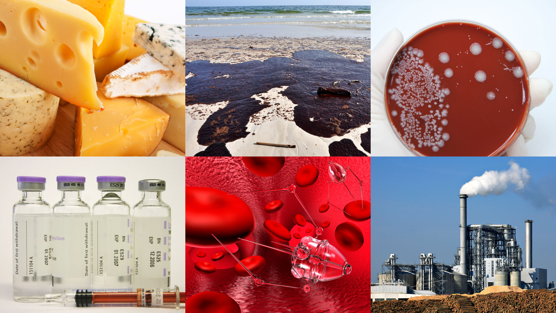 NOVA - Official Website | Putting Bacteria to Work