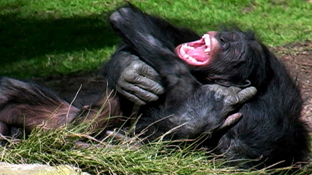 NOVA - Official Website | Read My Lips