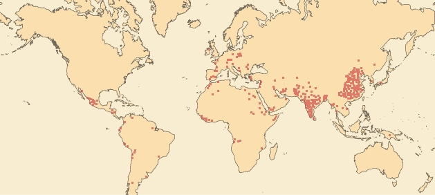 Human Numbers Through Time