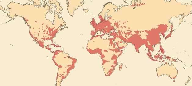 Human Numbers Through Time