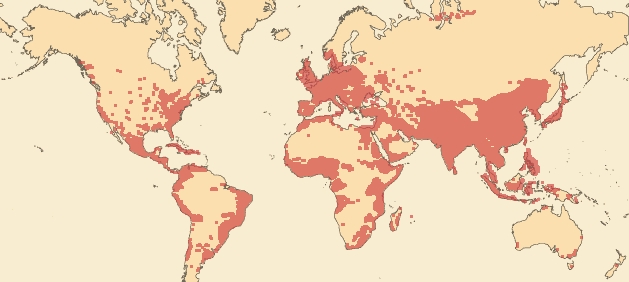Human Numbers Through Time