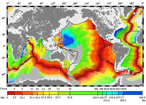 NOVA | Magnetic Storm | Impact on Animals image 4 | PBS