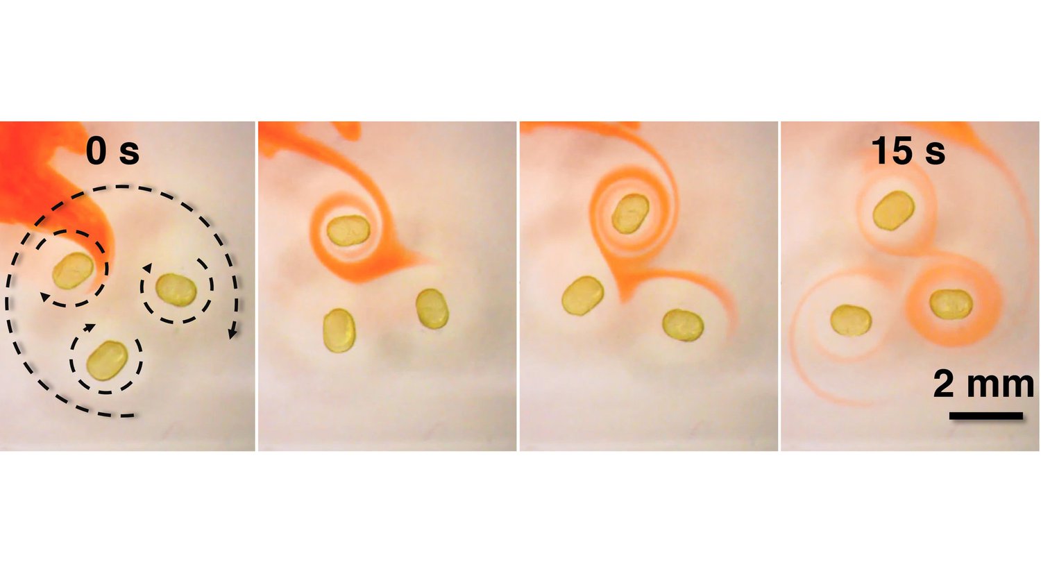 In a first, researchers have permanently magnetized a liquid | NOVA | PBS