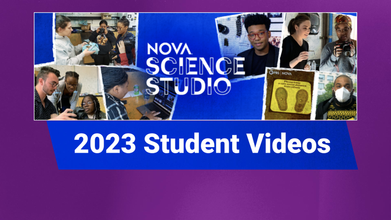 Planet Earth | Articles, Videos, & Interactives | NOVA | PBS