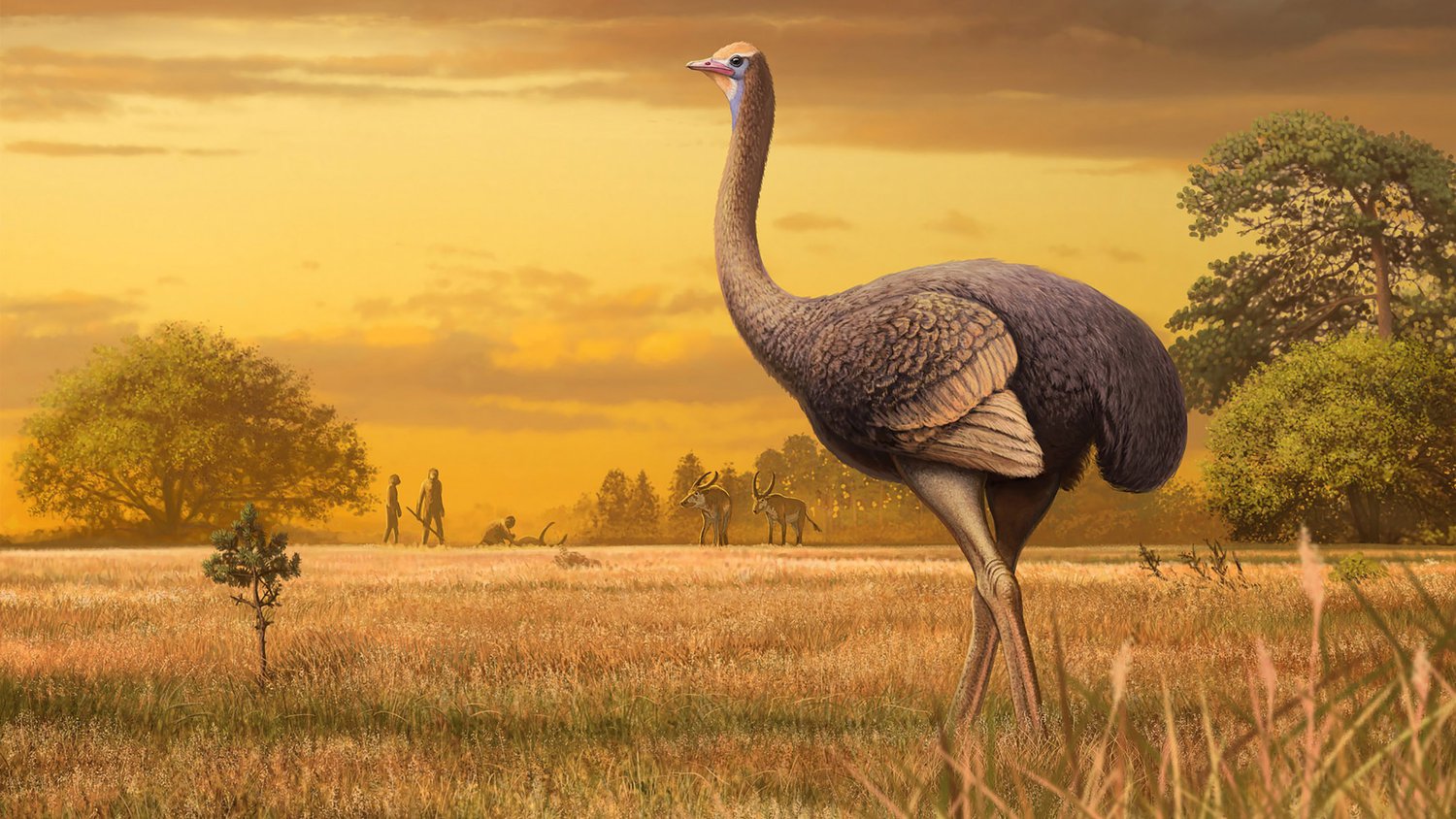 How Bipedalism Arose | NOVA | PBS