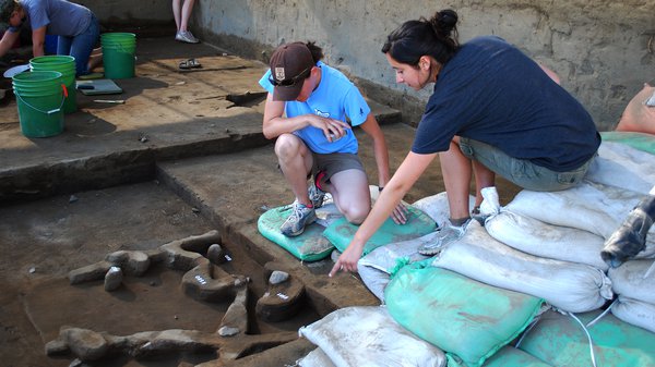 Human tracks may be earliest evidence of people in North America | NOVA ...