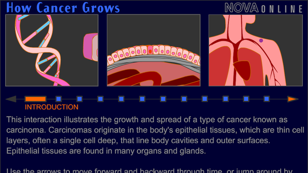 "Safer" Cigarettes: A History | NOVA | PBS