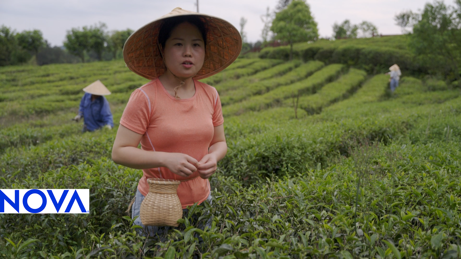 NOVA Education | NOVA | PBS