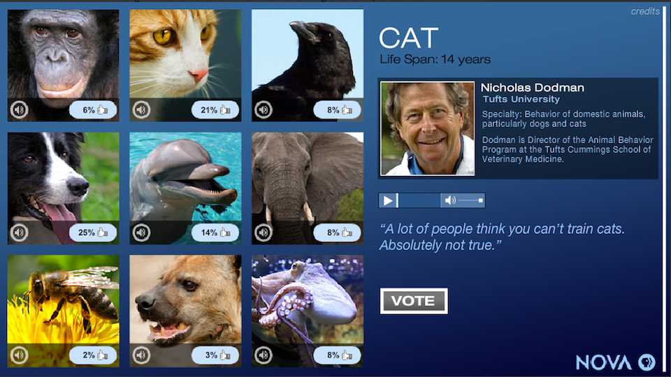 Bird Brain | NOVA | PBS