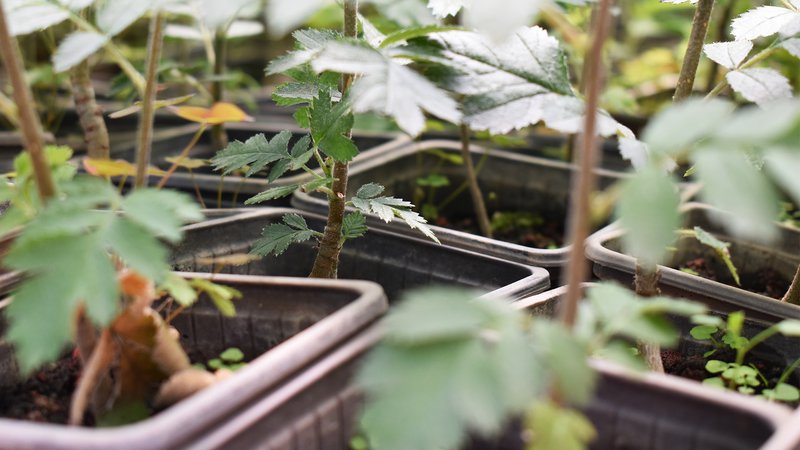 Can We Cool the Planet? | NOVA | PBS